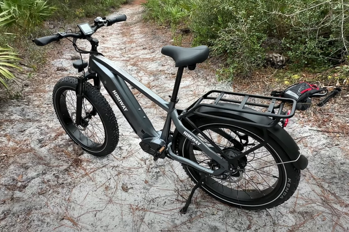 Himiway Zebra Review | Ride Charge Go